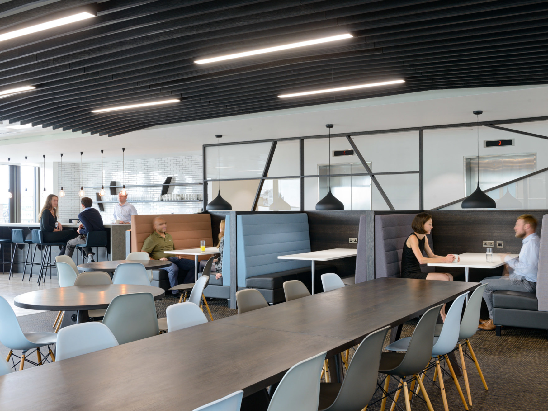 Office Design & Build