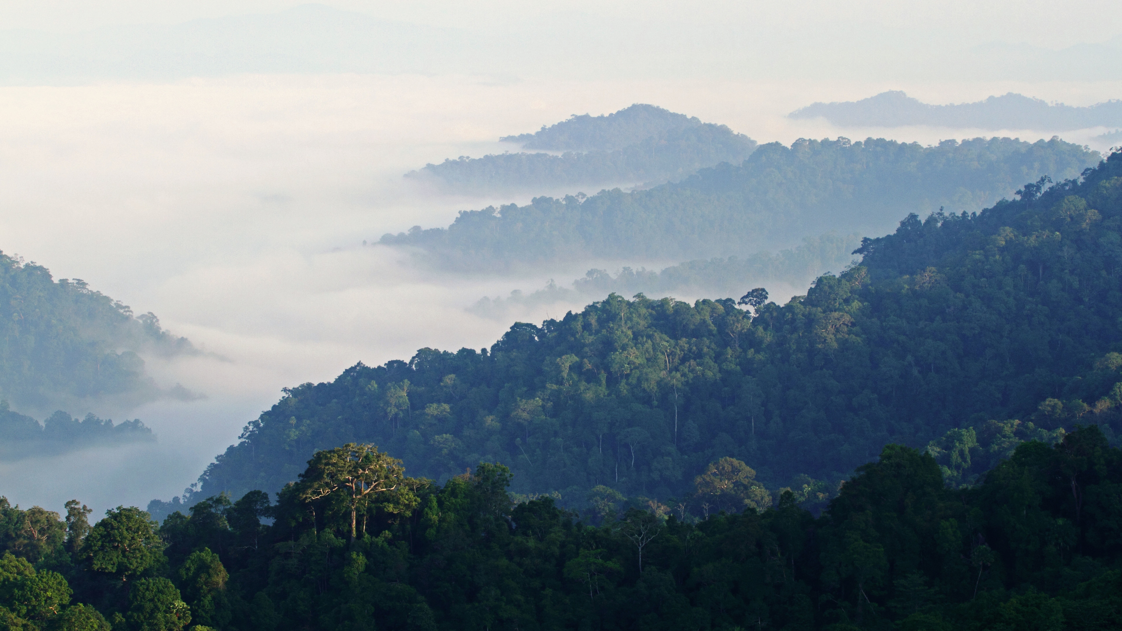 Oktra and Cool Earth Move Towards Greener Future Together | Oktra