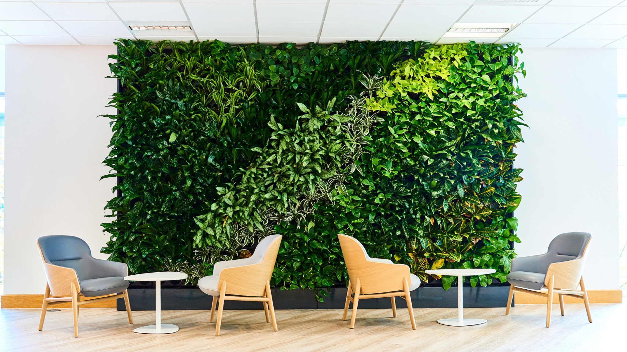 Cat B Fit Out in Manchester for Matillion | Oktra Case Study