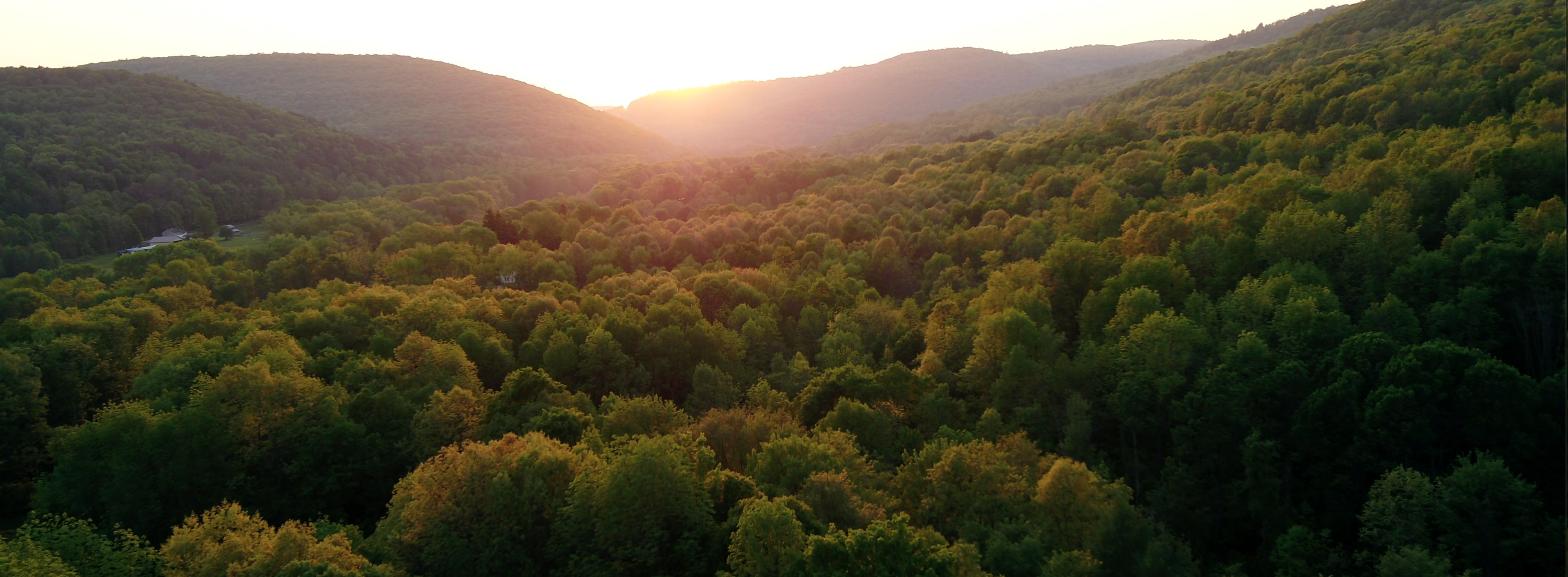 Home / About / Sustainability