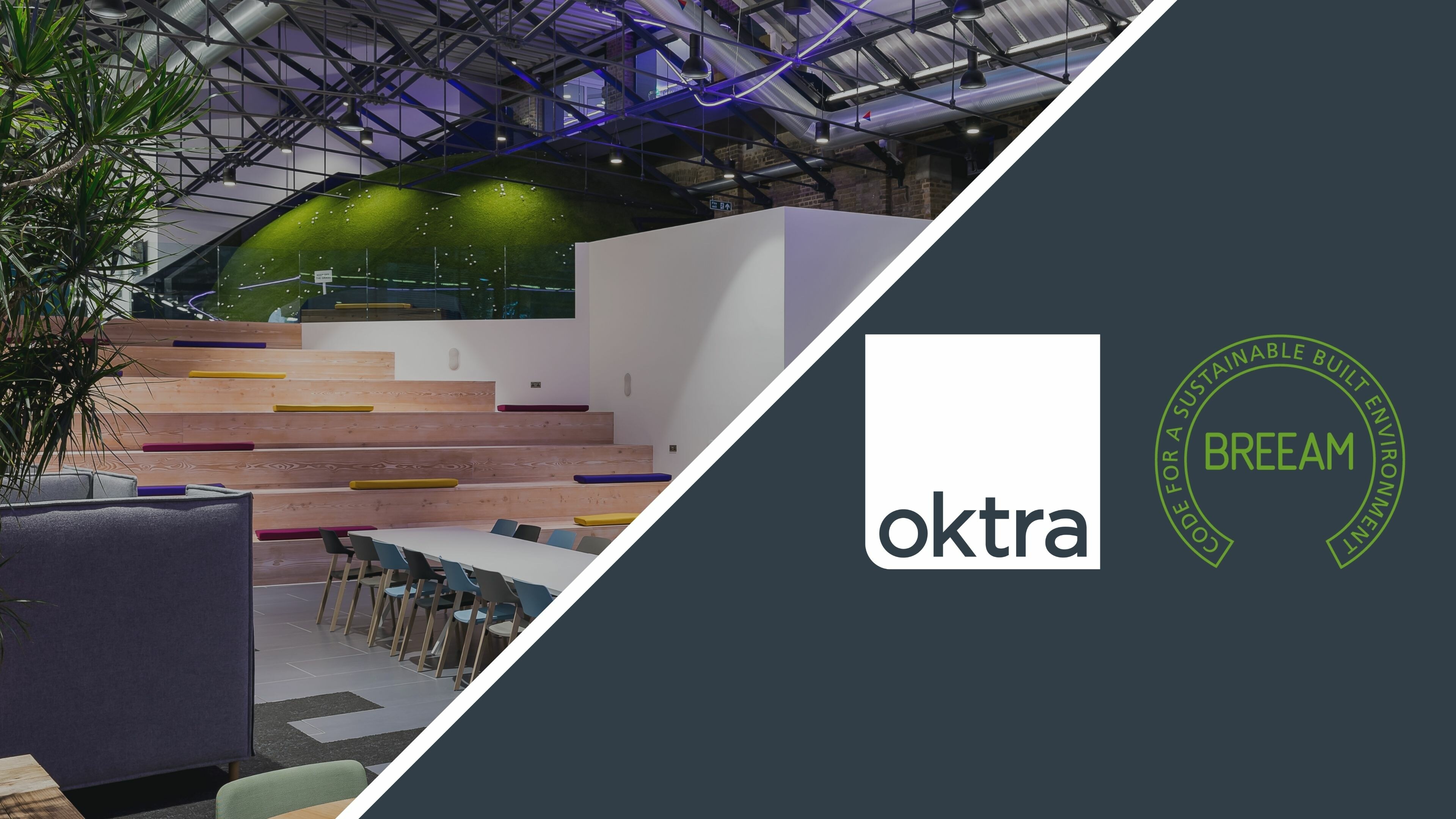 Sustainable Office Salad Is Driving Workplace Wellbeing | Oktra