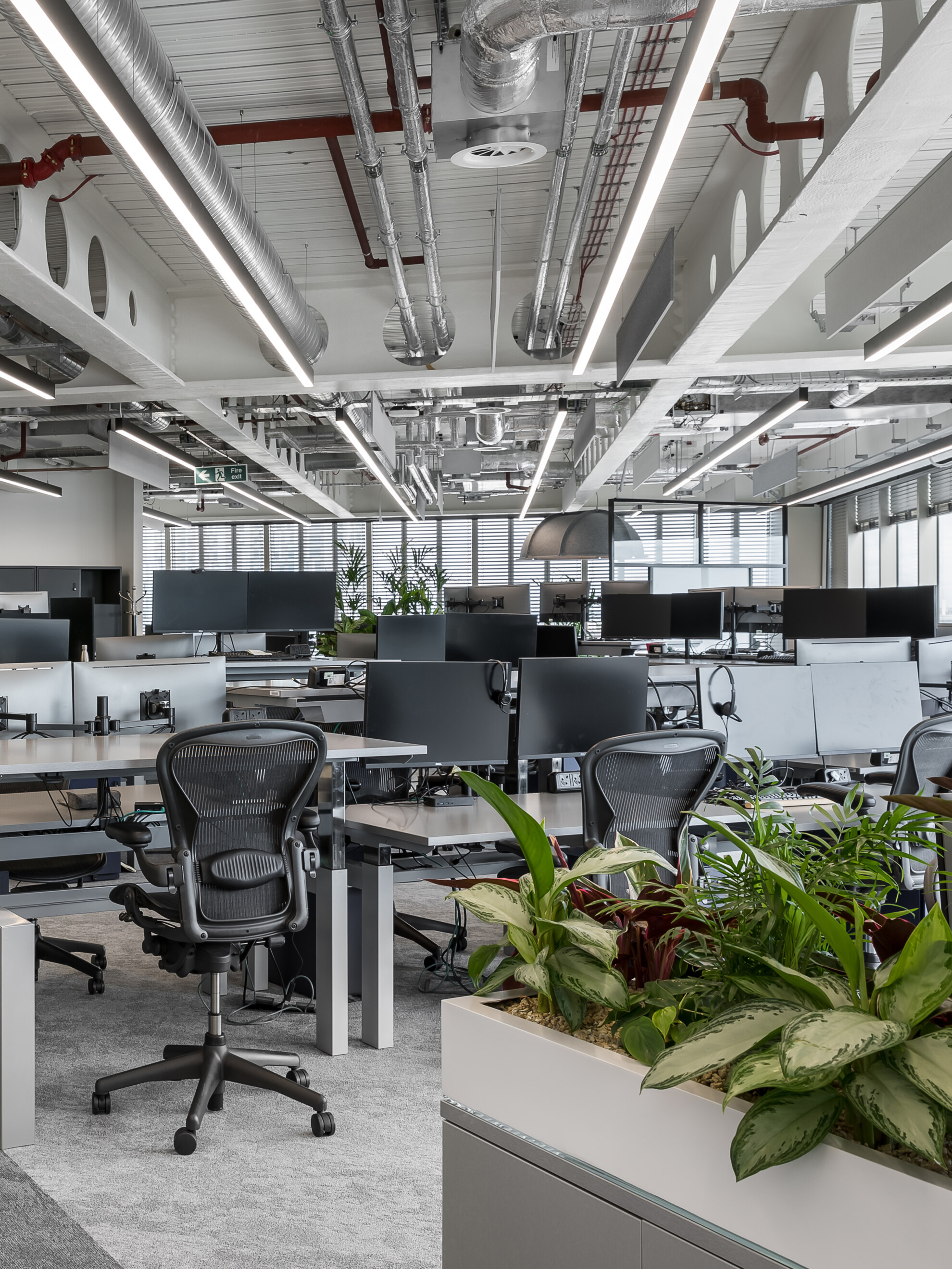Sustainable Office Design: How to Create the Future Workplace | Oktra