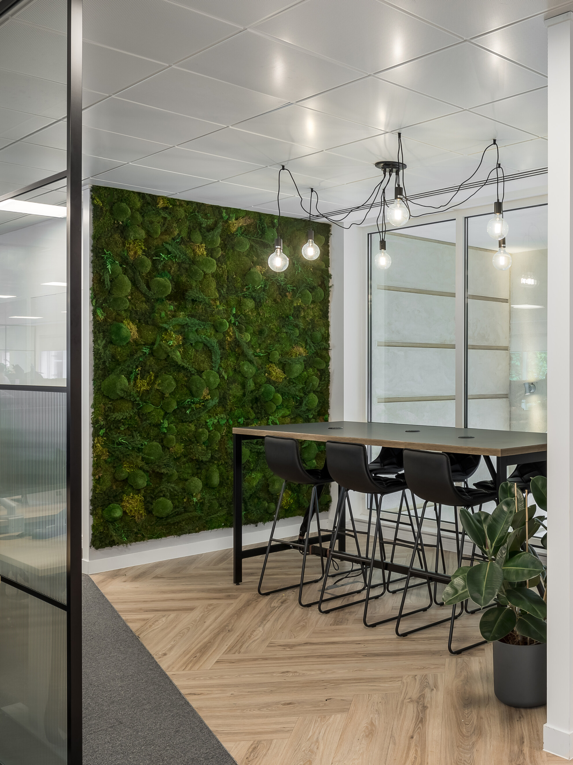 Sustainable Office Design: How to Create the Future Workplace | Oktra