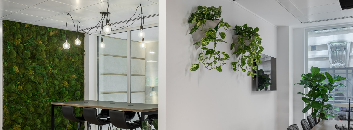 Sustainable Office Design: How to Create the Future Workplace | Oktra