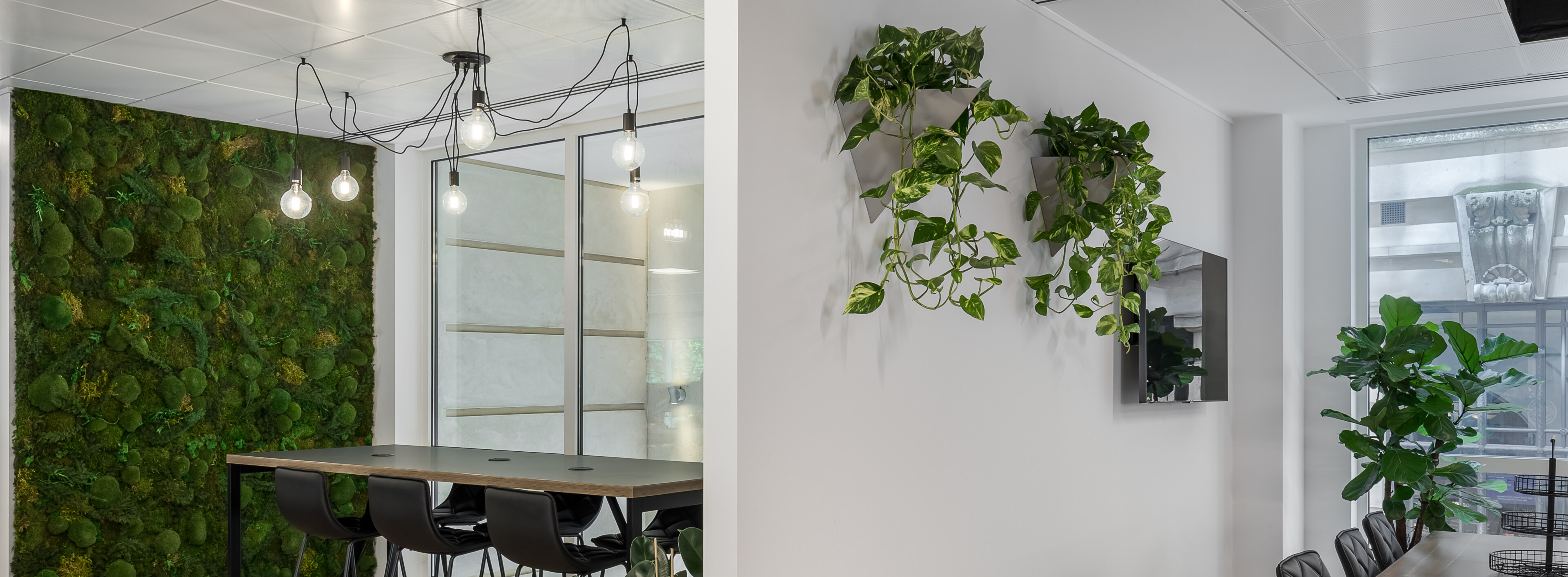 Sustainable Office Design: How to Create the Future Workplace | Oktra