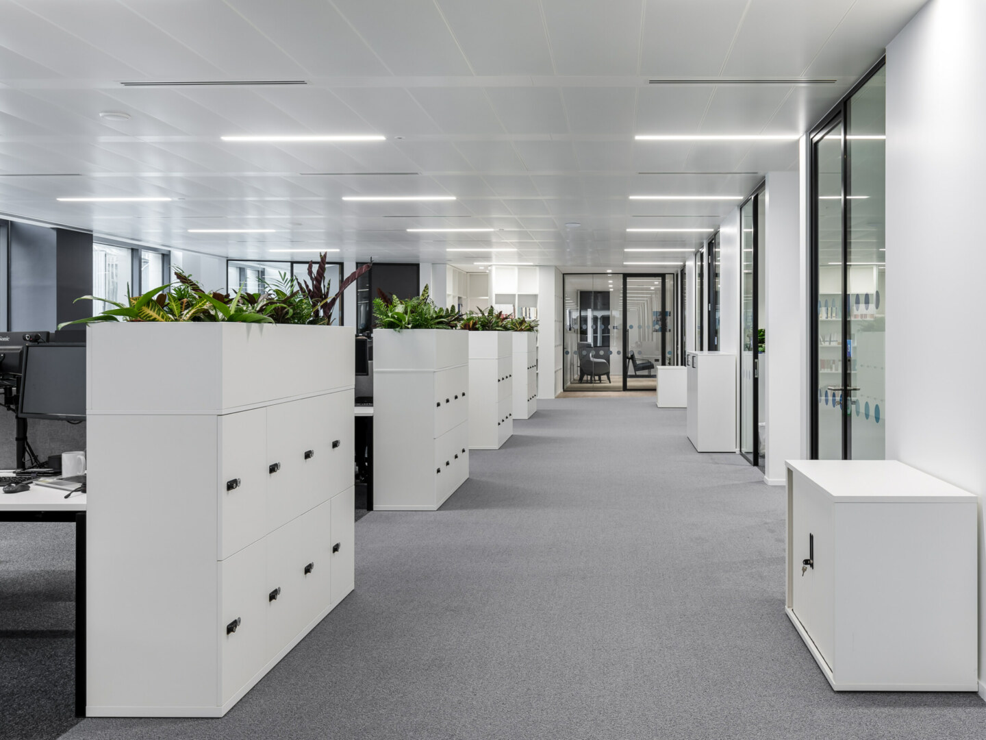 Design & Build of Wilson Wright | Oktra Case Study