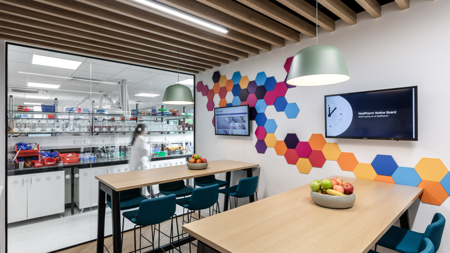 Office Design for Global Pharmaceutical Company - Theramex