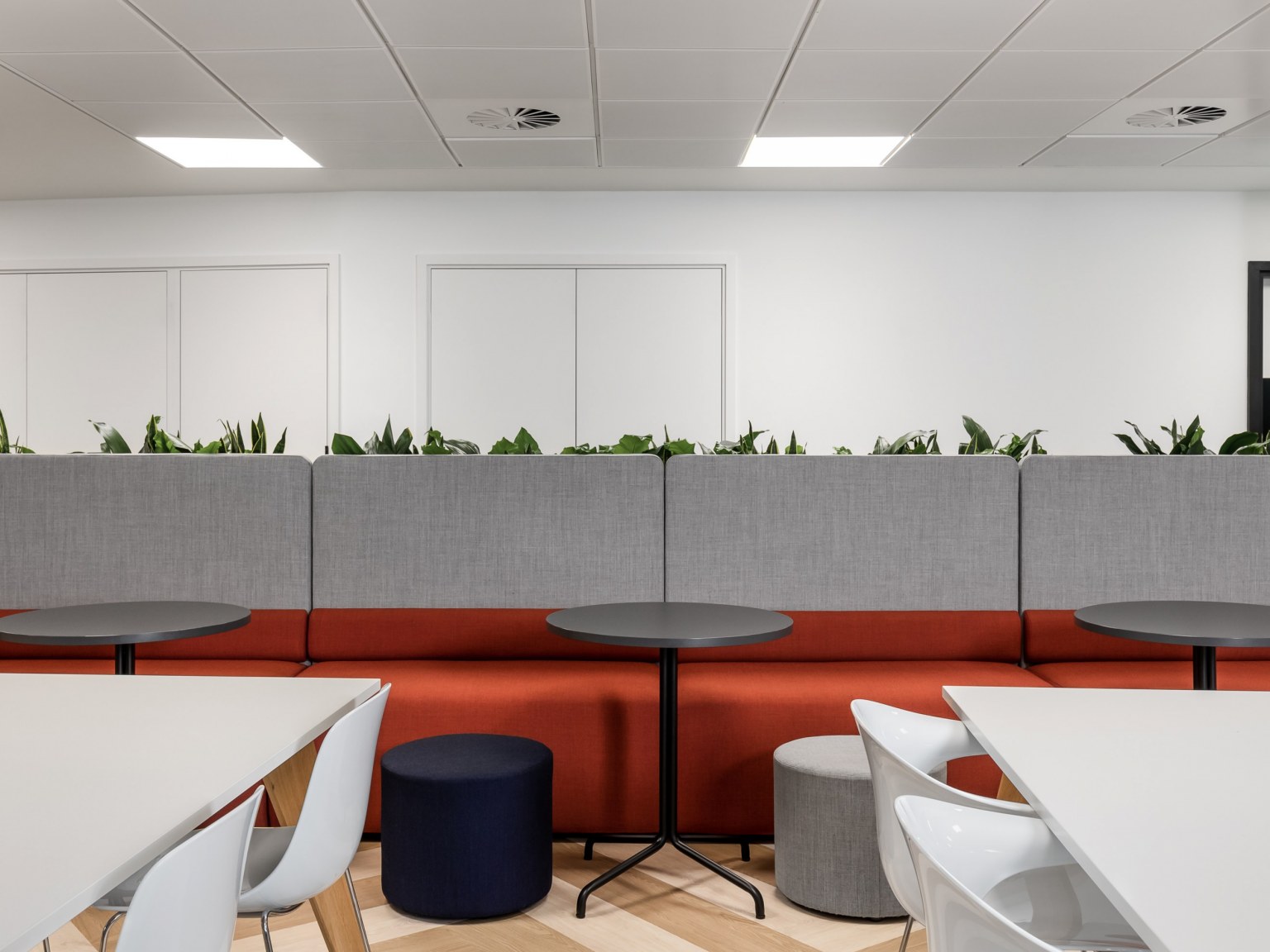 Office Design for Global Pharmaceutical Company - Theramex