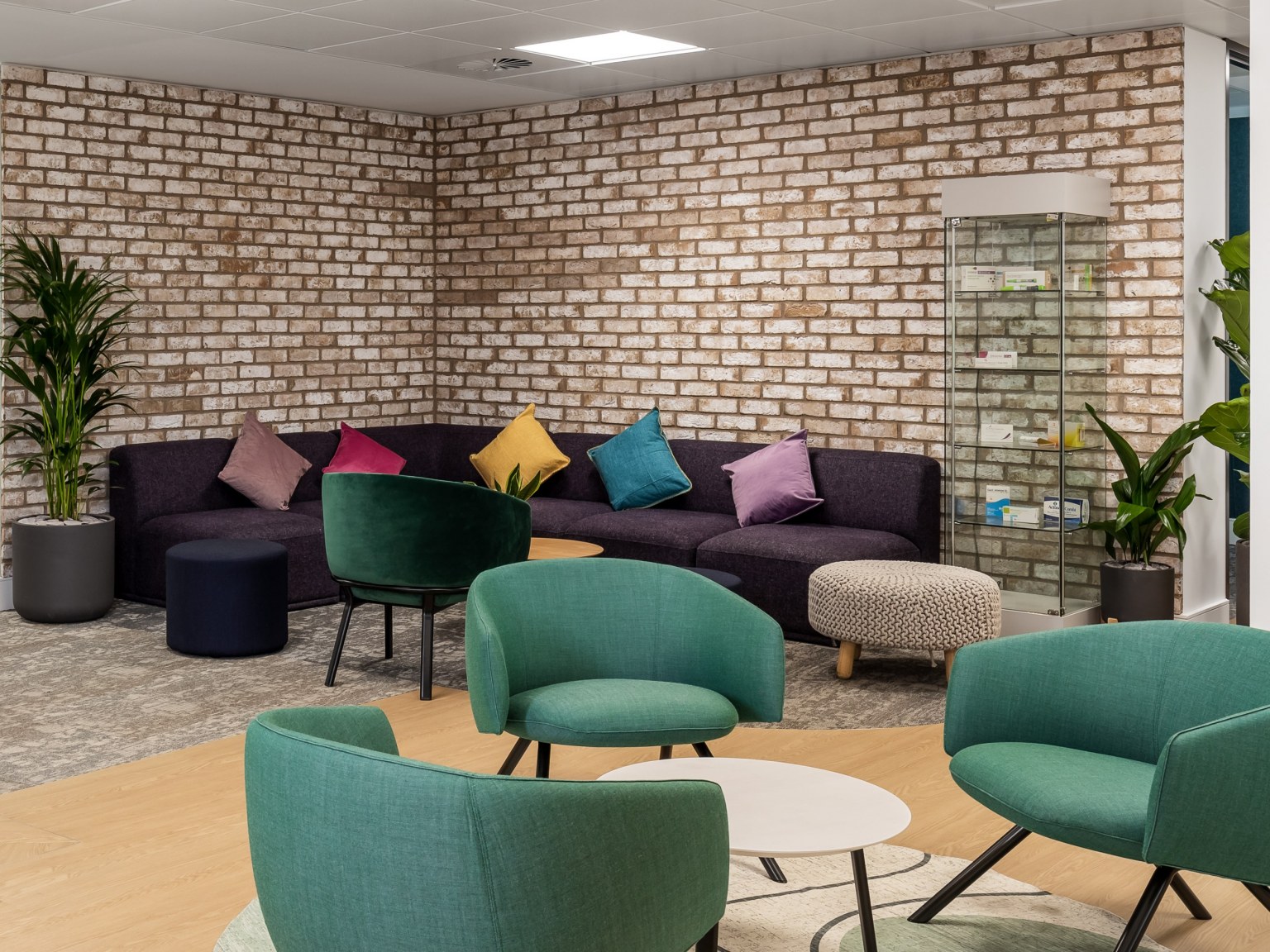 Office Design for Global Pharmaceutical Company - Theramex