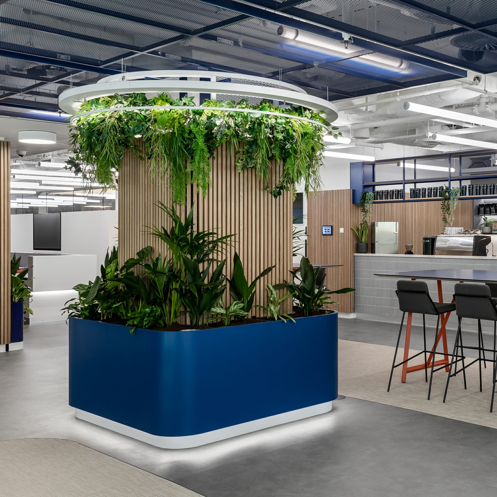 Sustainable Office Design | Leading Design & Build Company | Oktra
