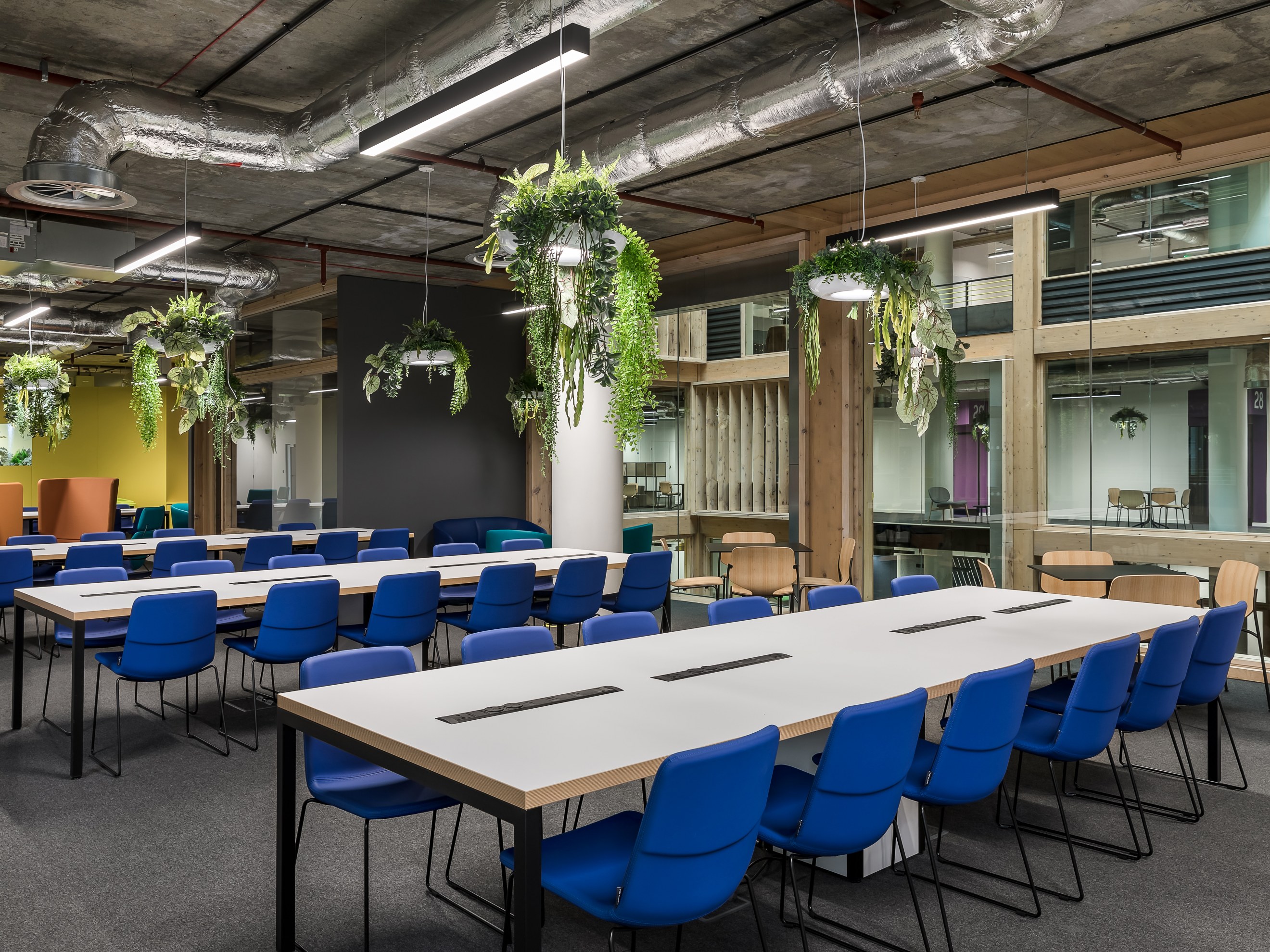 5. Natural light and nature