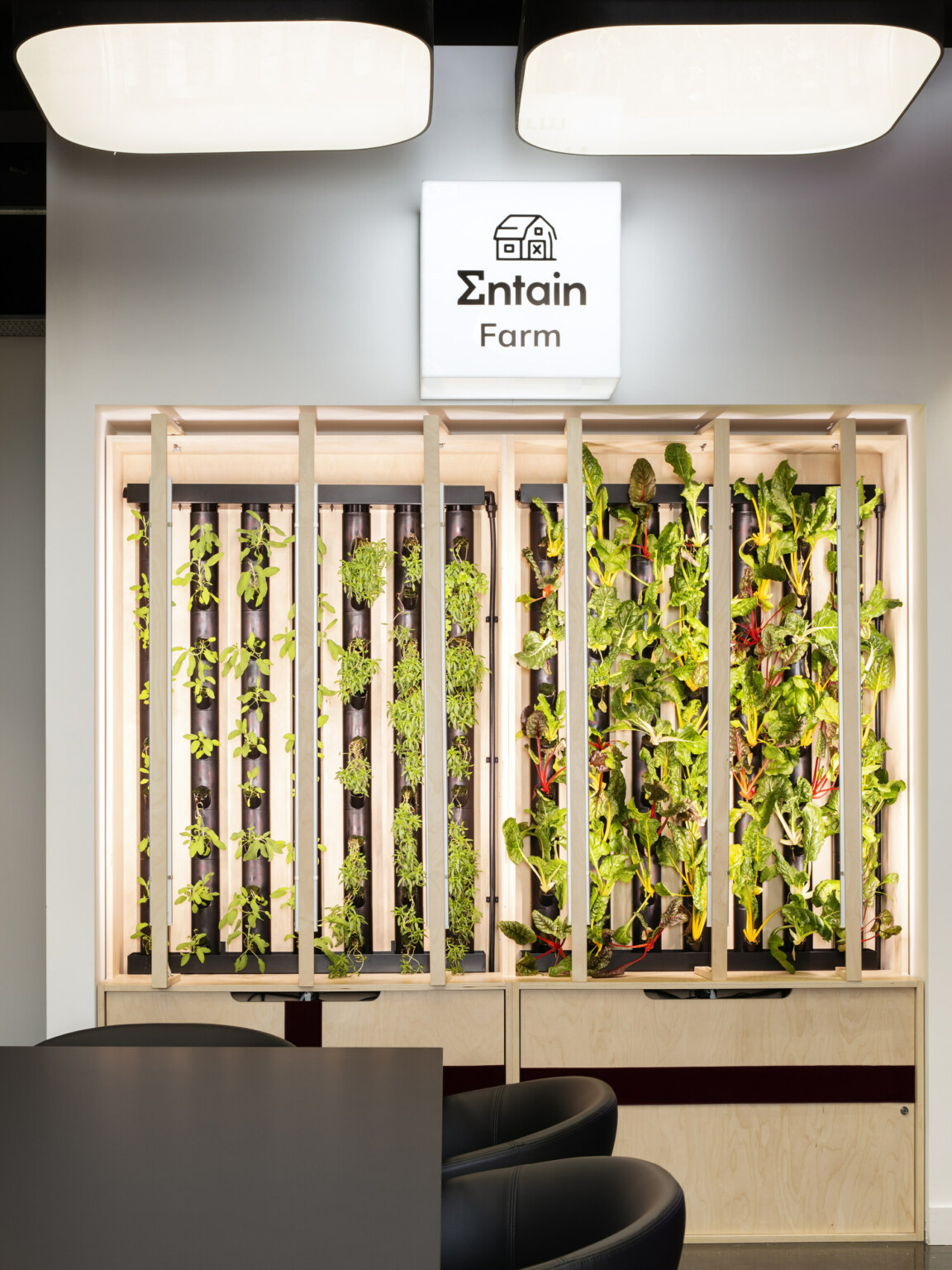 Sustainable Office Fit Out for Entain | Oktra Case Study