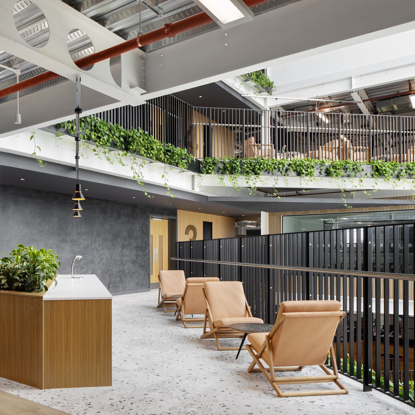 Naturecore: Enhancing Wellbeing with Biophilic Office Design | Oktra
