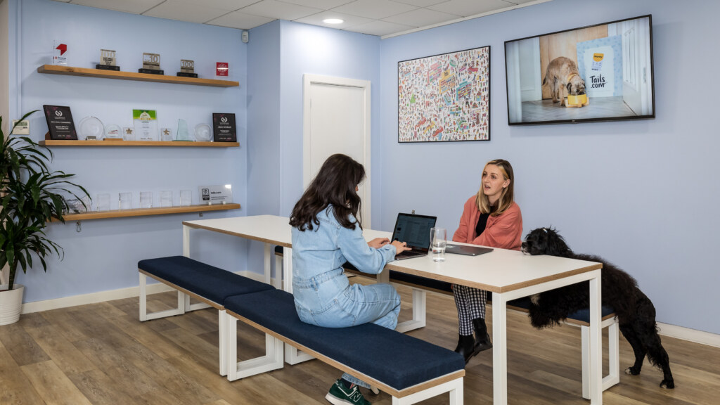 Designing a Modern, Dog-Friendly Workspace for Tails | Oktra