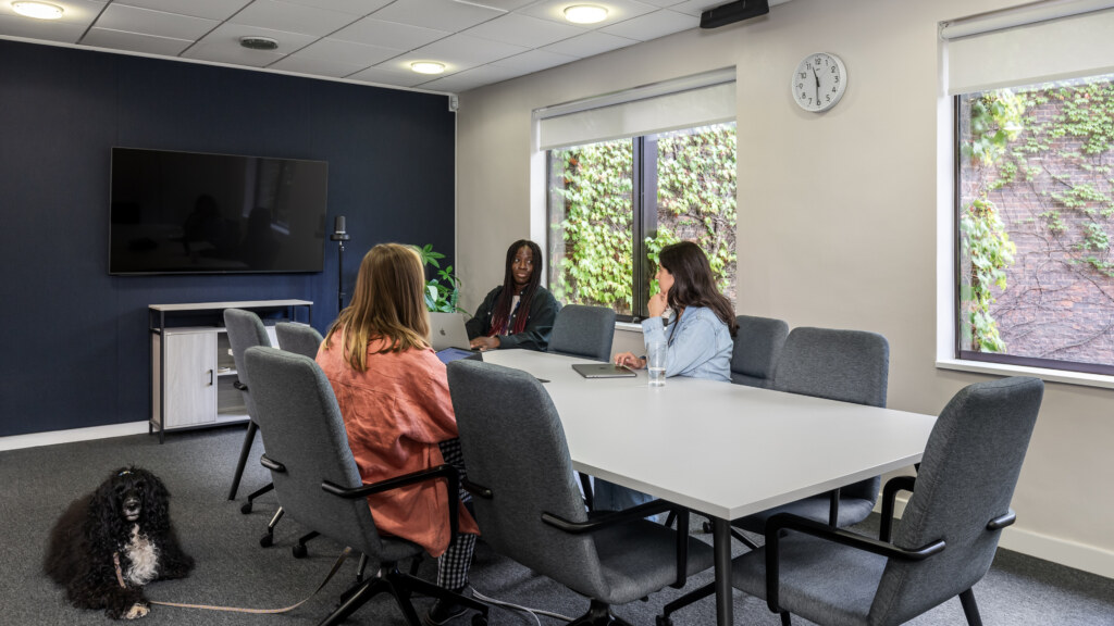 Designing a Modern, Dog-Friendly Workspace for Tails | Oktra