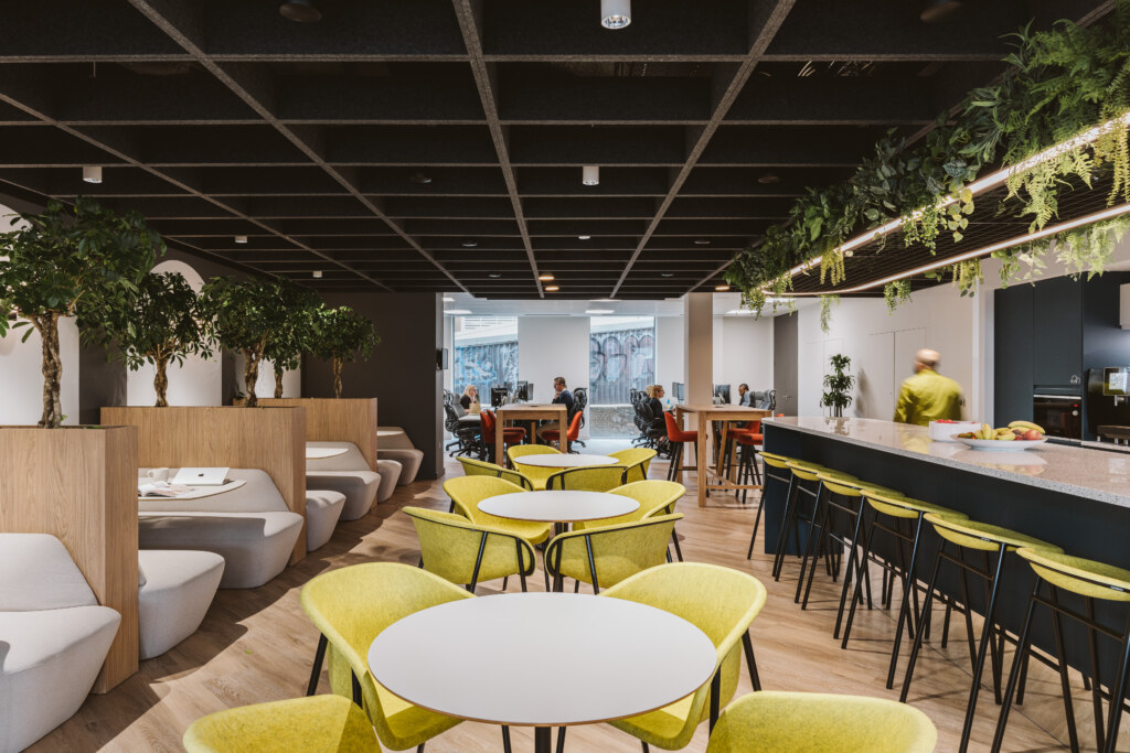 Open Plan Office Layout: Tips for Productivity & Collaboration | Oktra