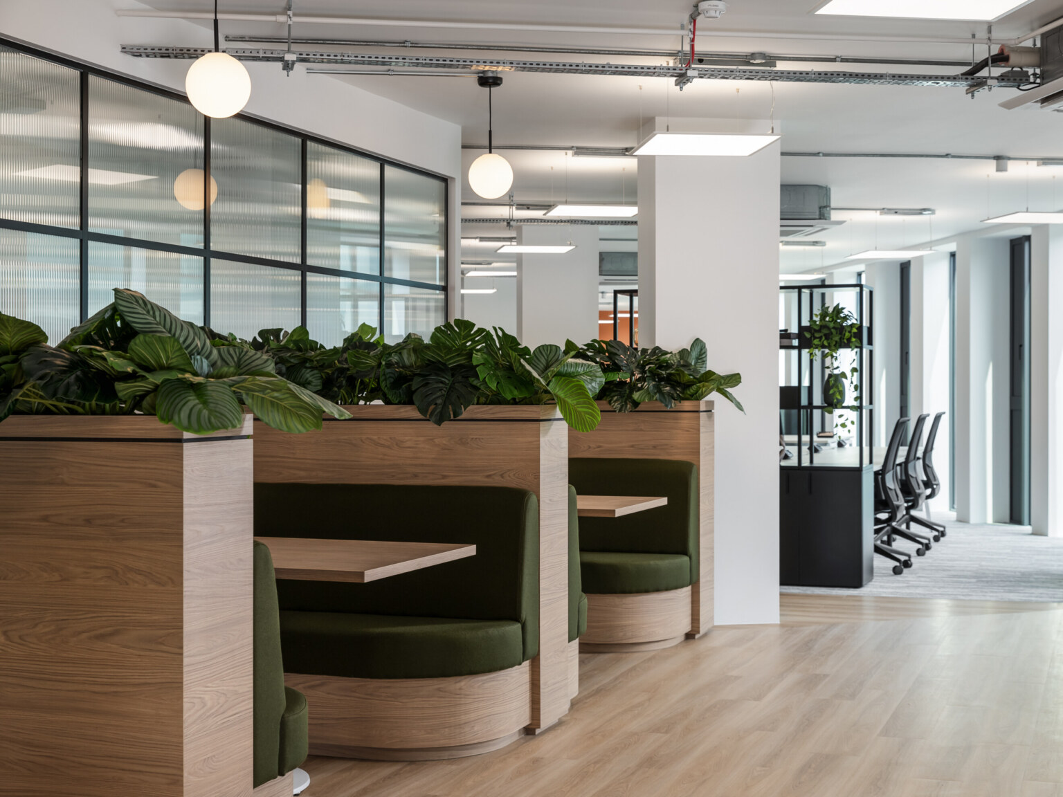 Open Plan Office Layout: Tips for Productivity & Collaboration | Oktra