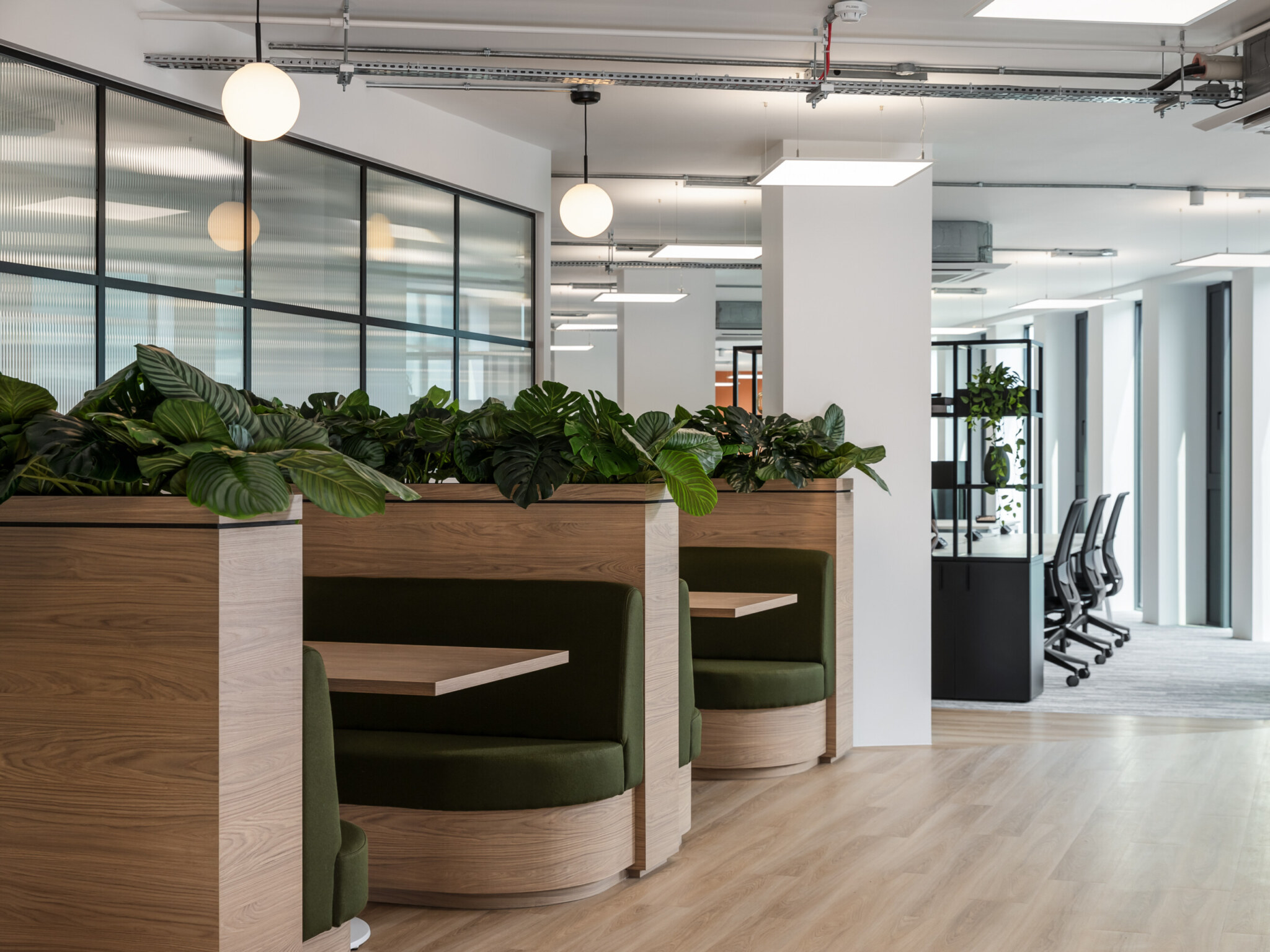 Open Plan Office Layout: Tips for Productivity & Collaboration | Oktra