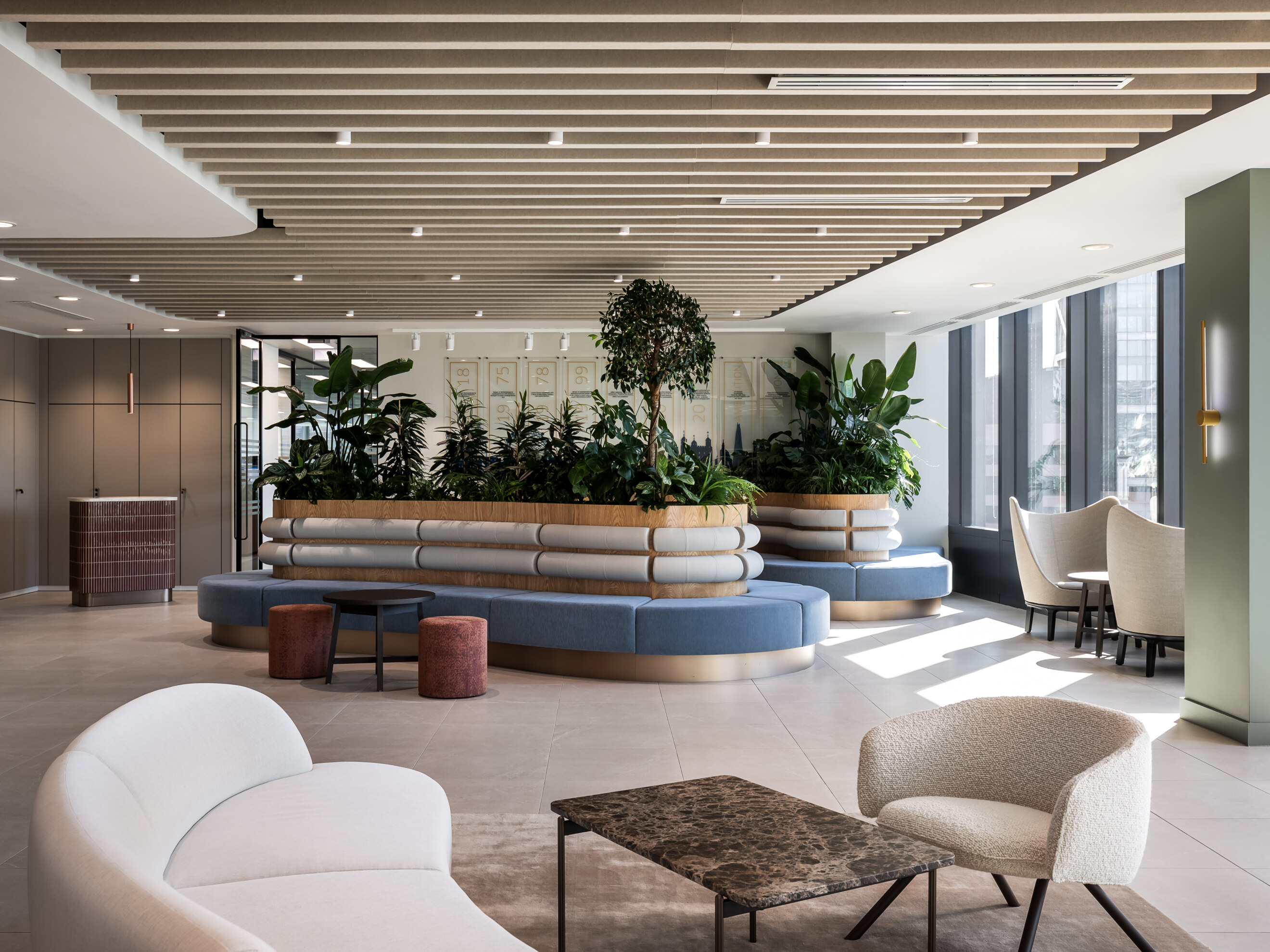 Open Plan Office Layout: Tips for Productivity & Collaboration | Oktra