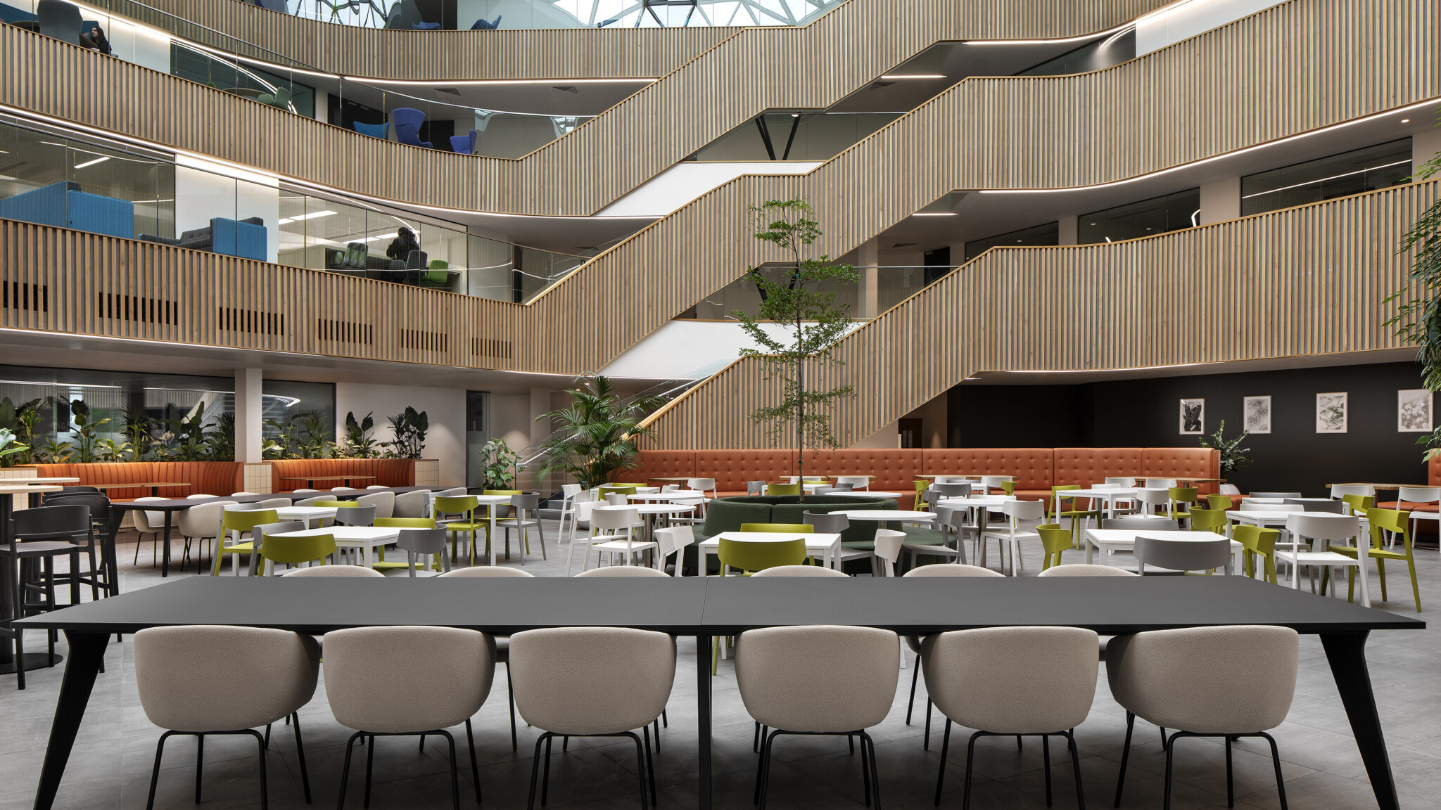 Office Design Insights & Trends | Oktra Articles