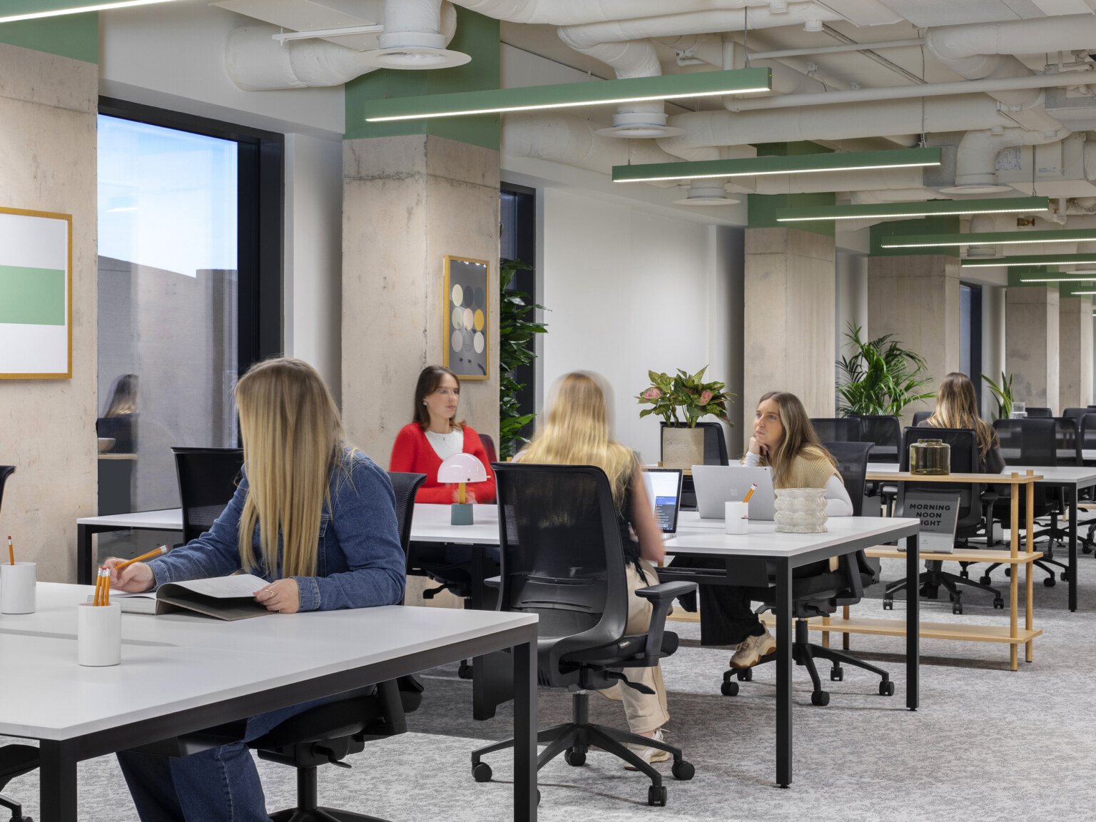 Office Layout Ideas: 5 Modern Concepts to Transform Your Workplace